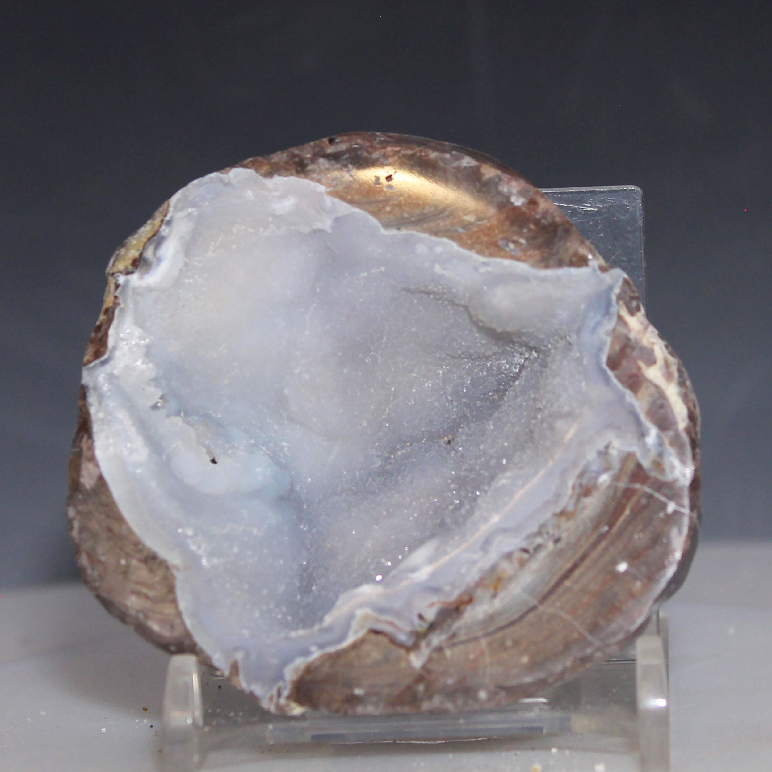 Oregon Thunder Egg Soft Blue Dugway Geode Half