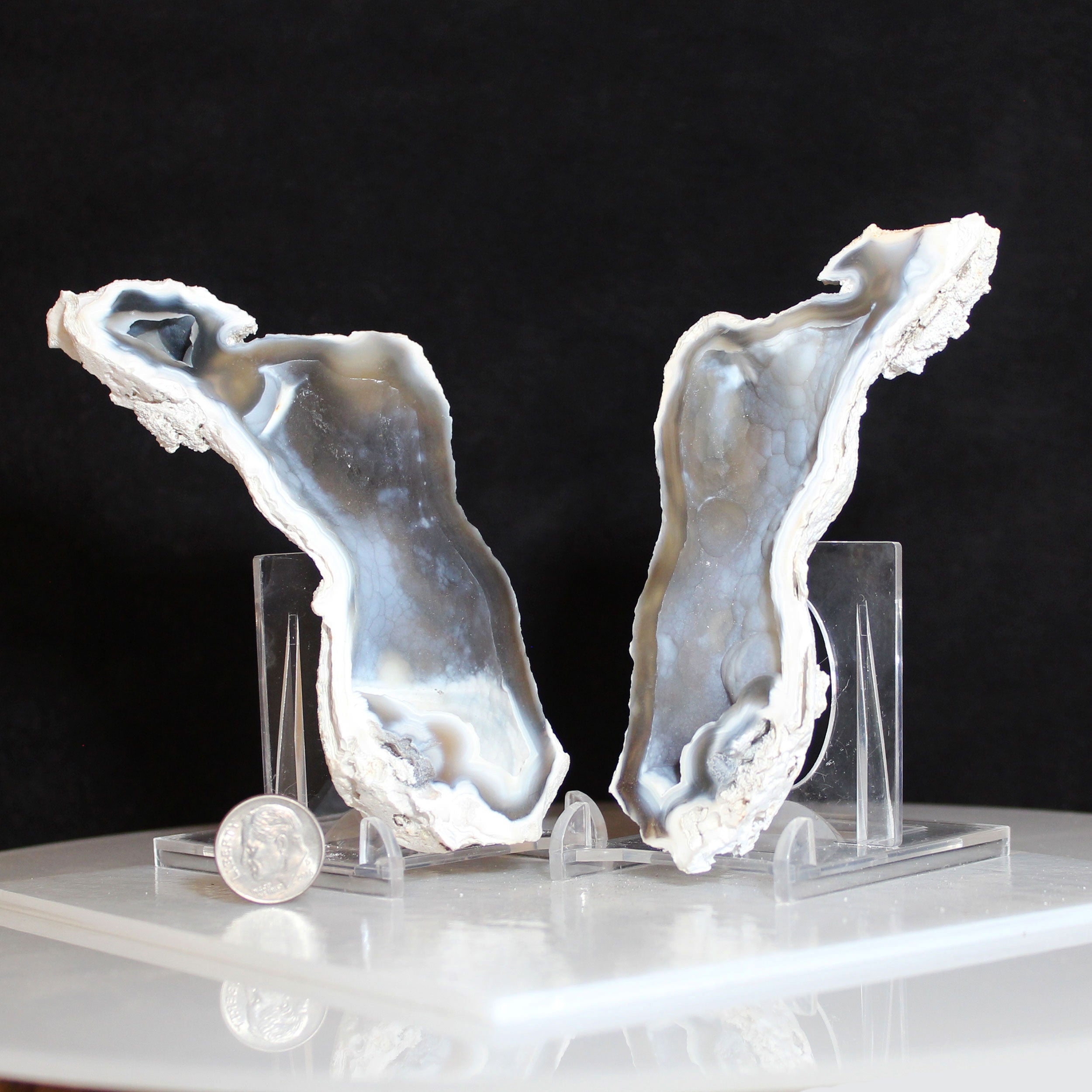 Tamp Bay Geode Coral Pair - Fresh White Blue/Gray