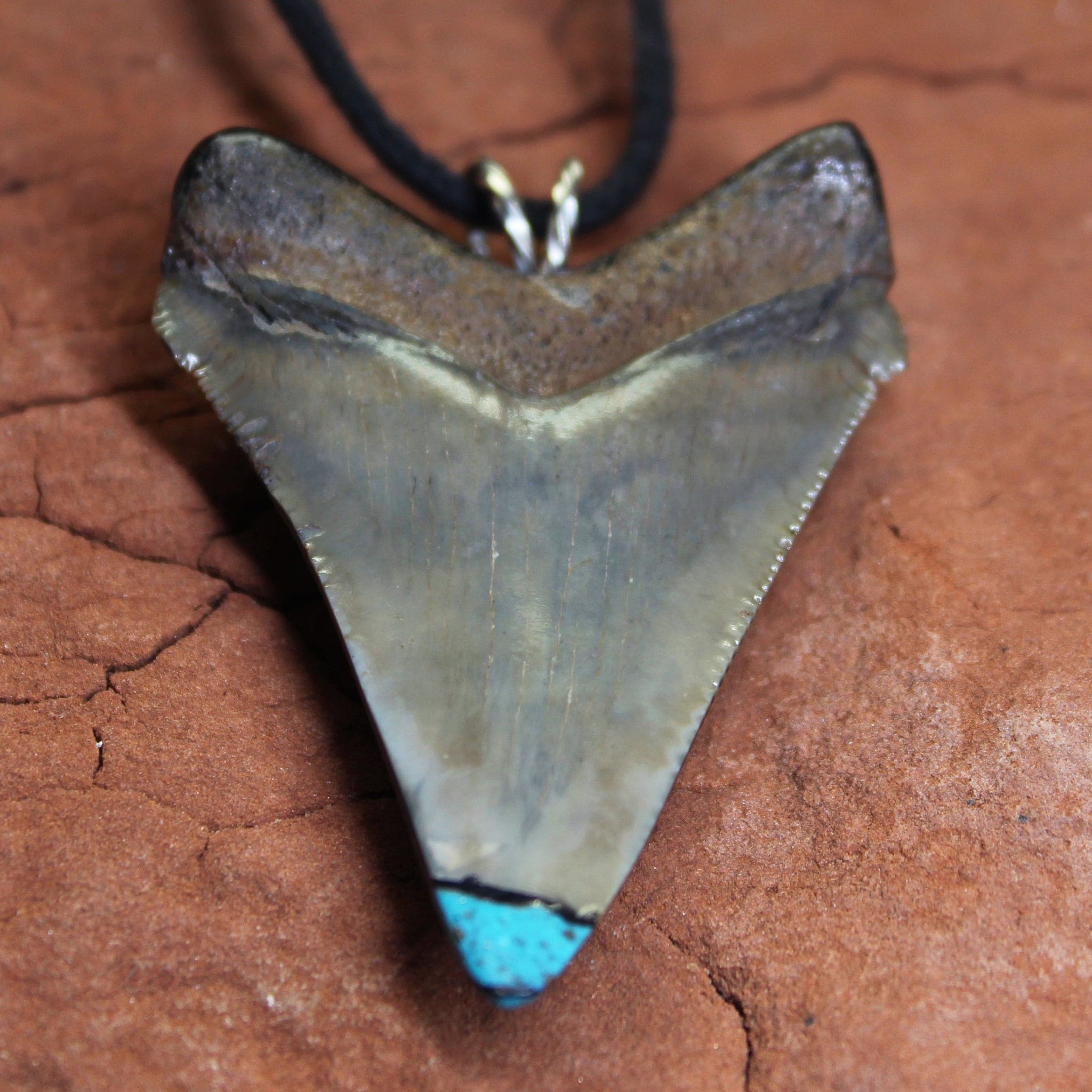 Great White Fossil Tooth Pendant - Turquoise Inlay Jewelry