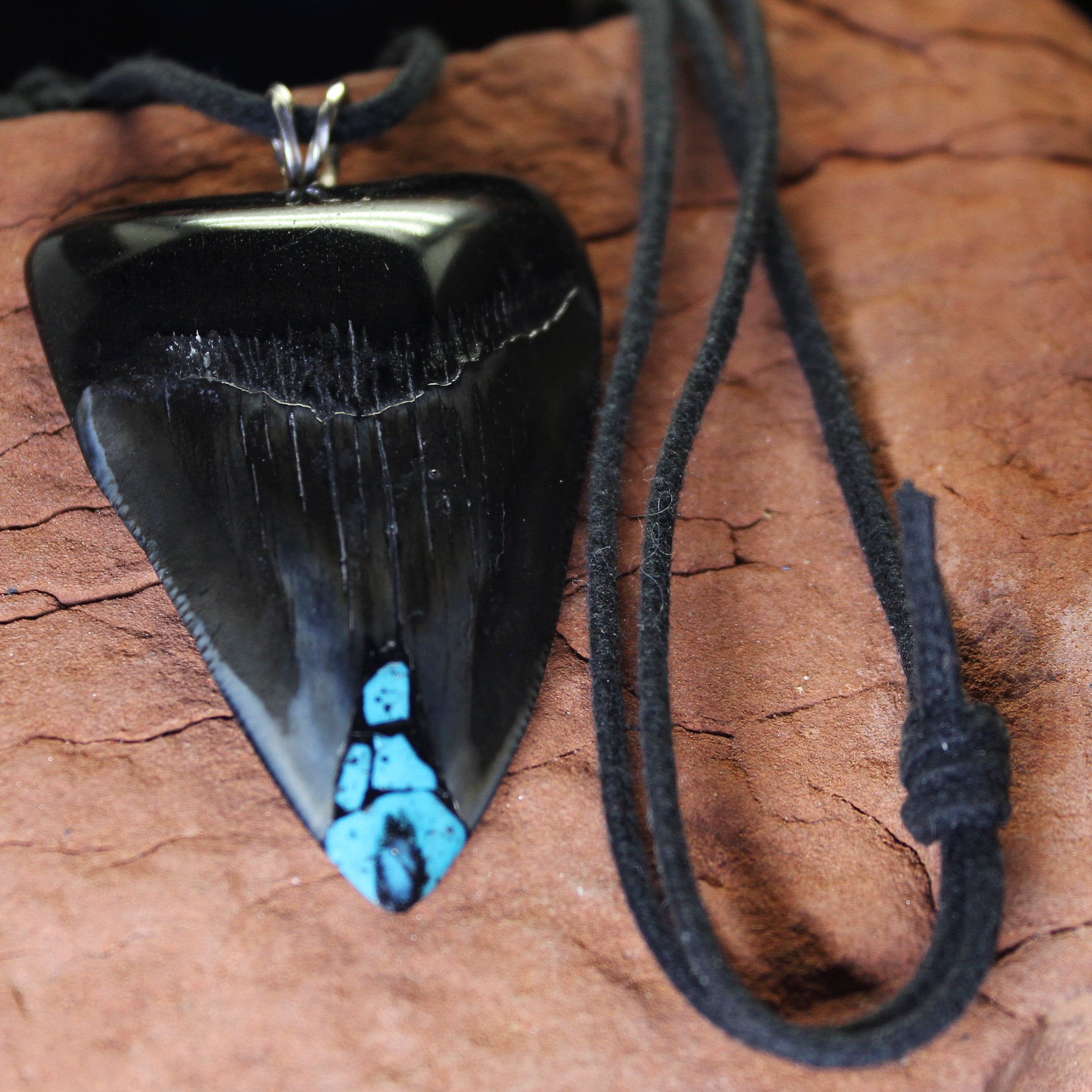 Shark Tooth with Turquoise: Handcrafted by Mark Havenstein